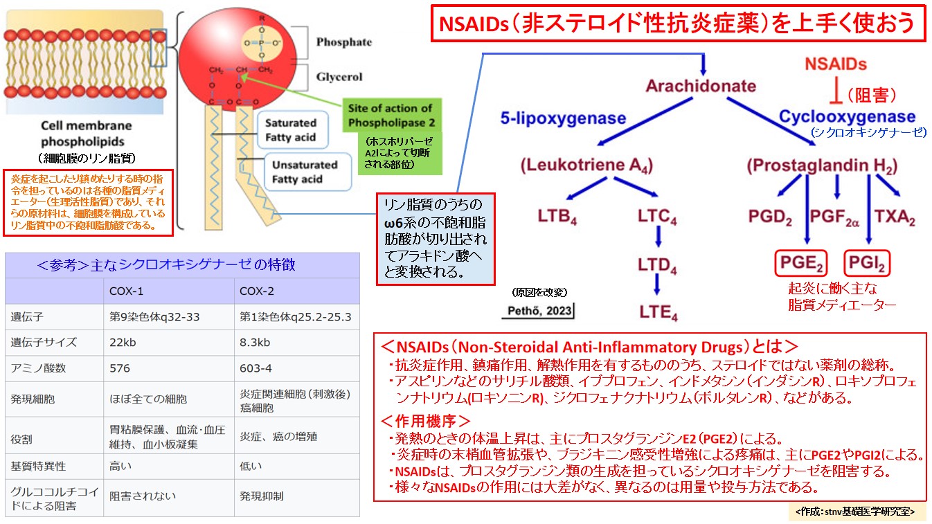 NSAIDs（非ステロイド性抗炎症薬）を上手く使おう | stnv基礎医学研究室