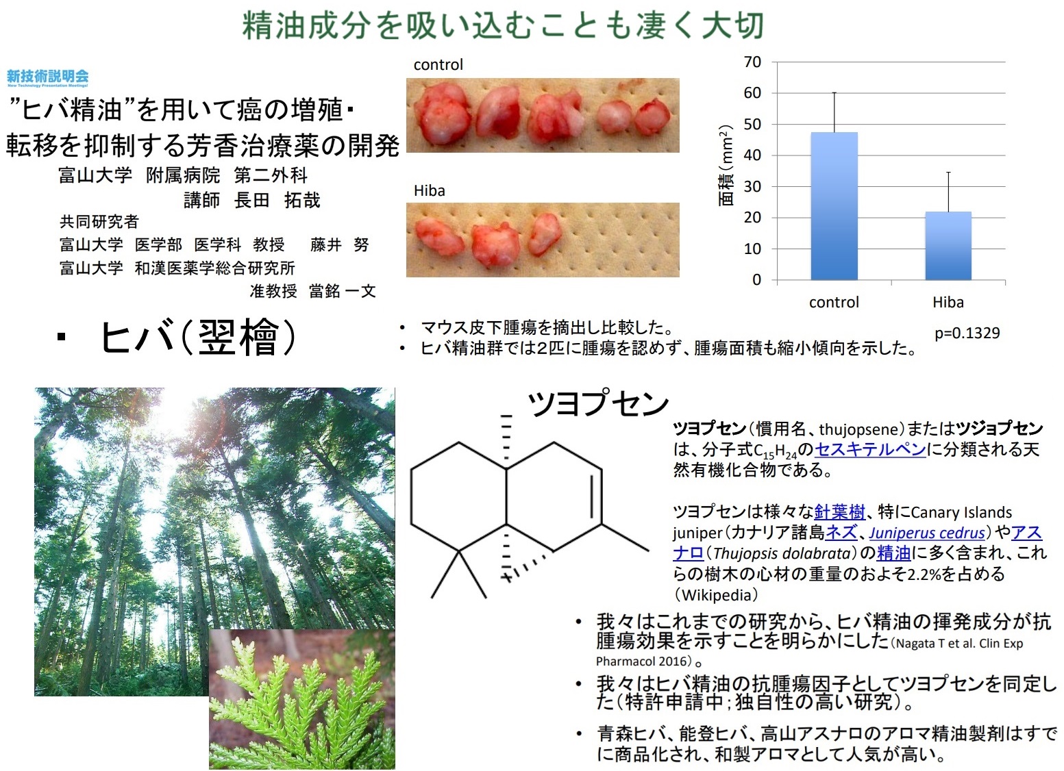 精油成分を吸い込むことも凄く大切 | stnv基礎医学研究室