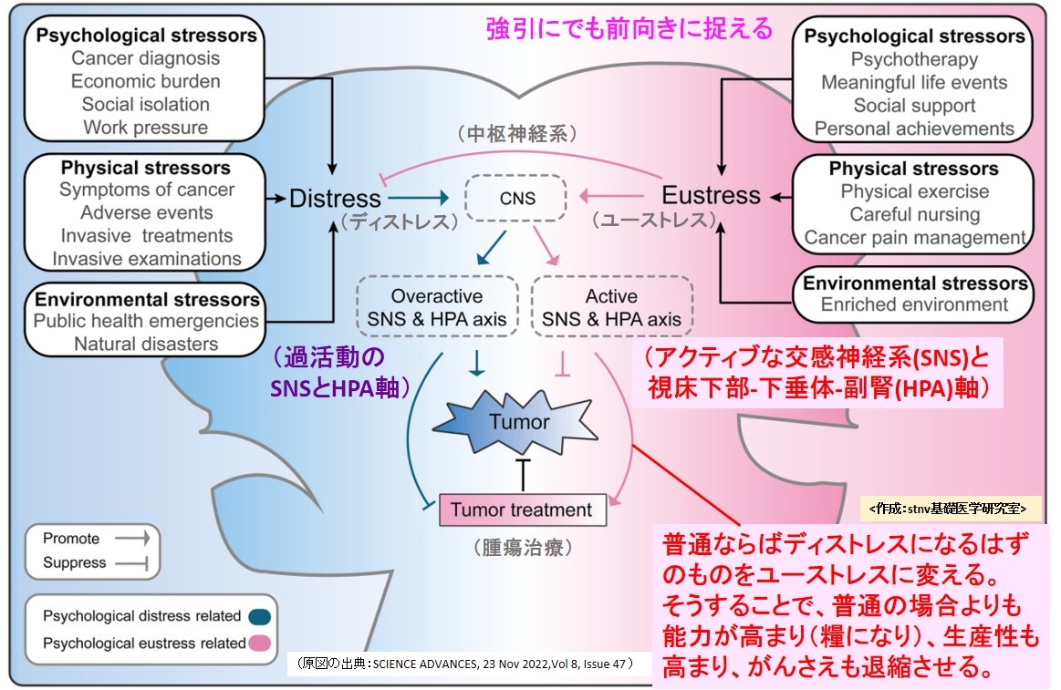 強引にでも前向きに捉えれば糧となる | stnv基礎医学研究室