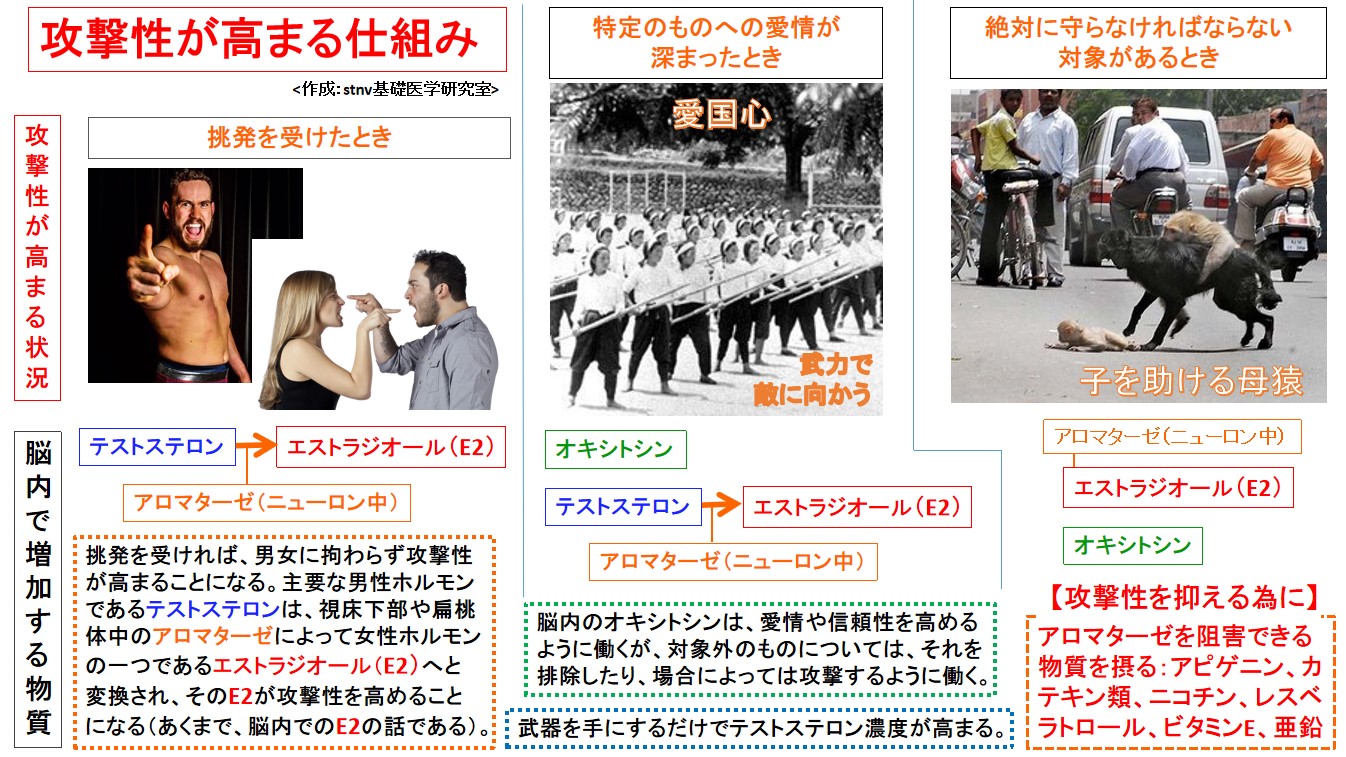 攻撃性が高まる仕組み | stnv基礎医学研究室