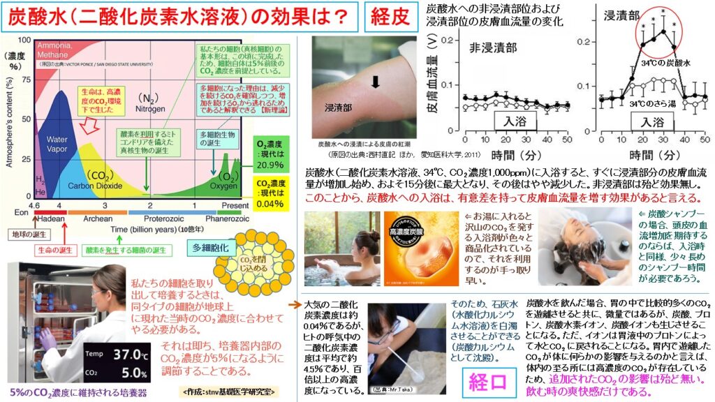 物を飲み込む時には顎を引くのが基本 | stnv基礎医学研究室